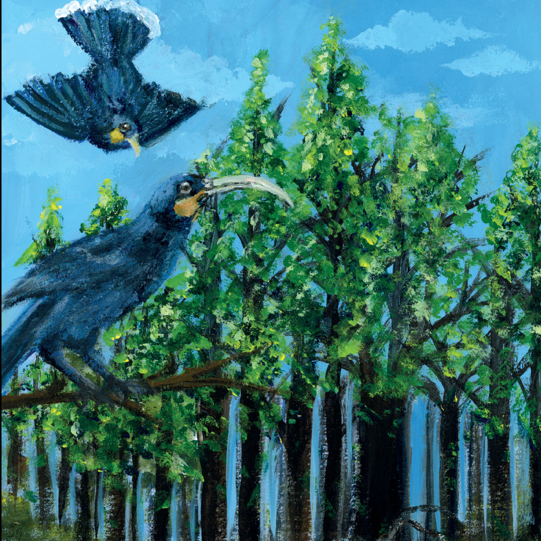 Competitions - Creative Writing NZ